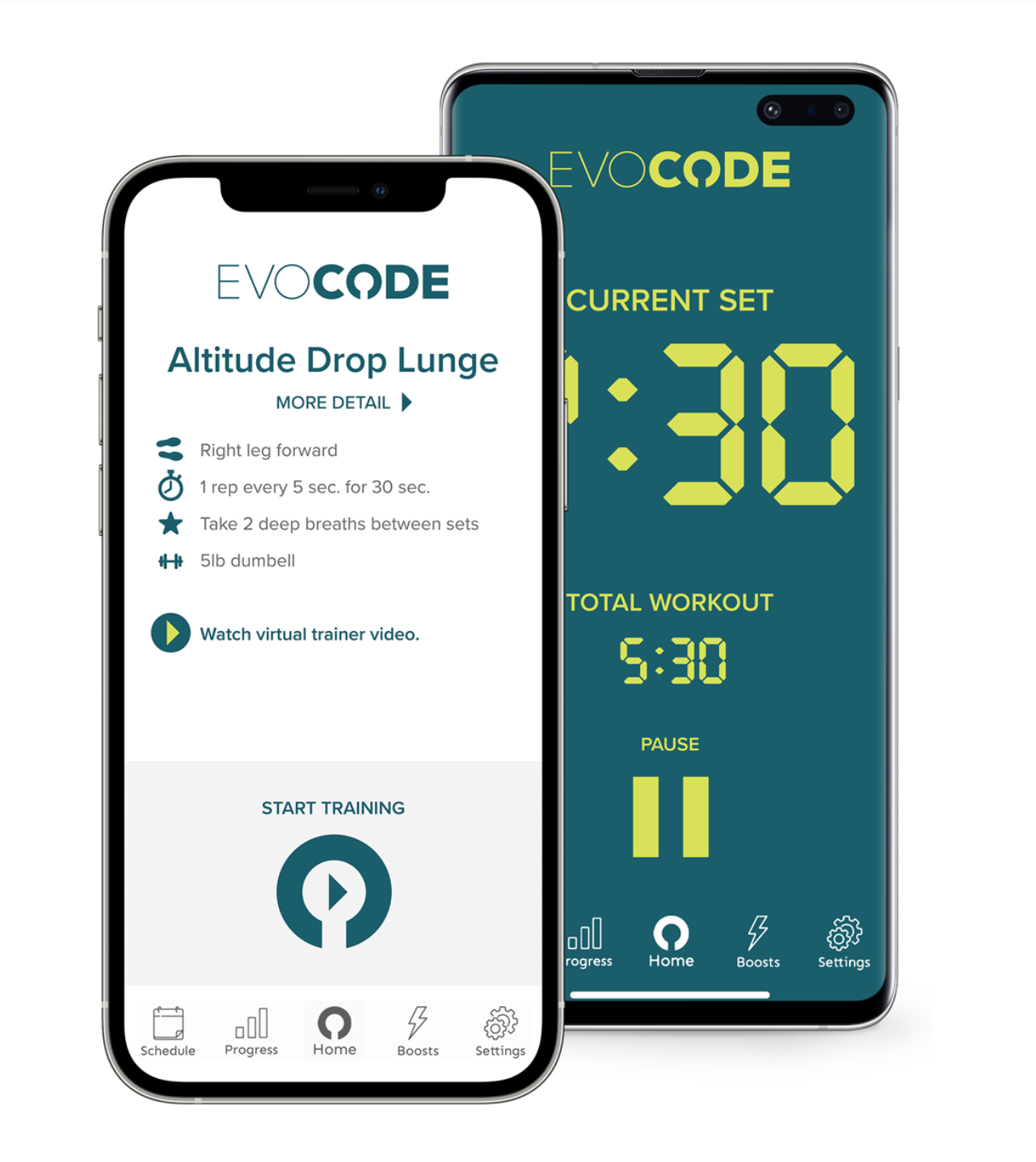 EVOCODE Whole Body Training System